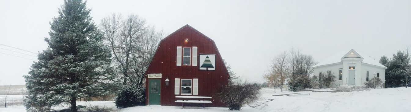 Hunter Bros. Tree Farm | A Holiday Tradition Since 1990