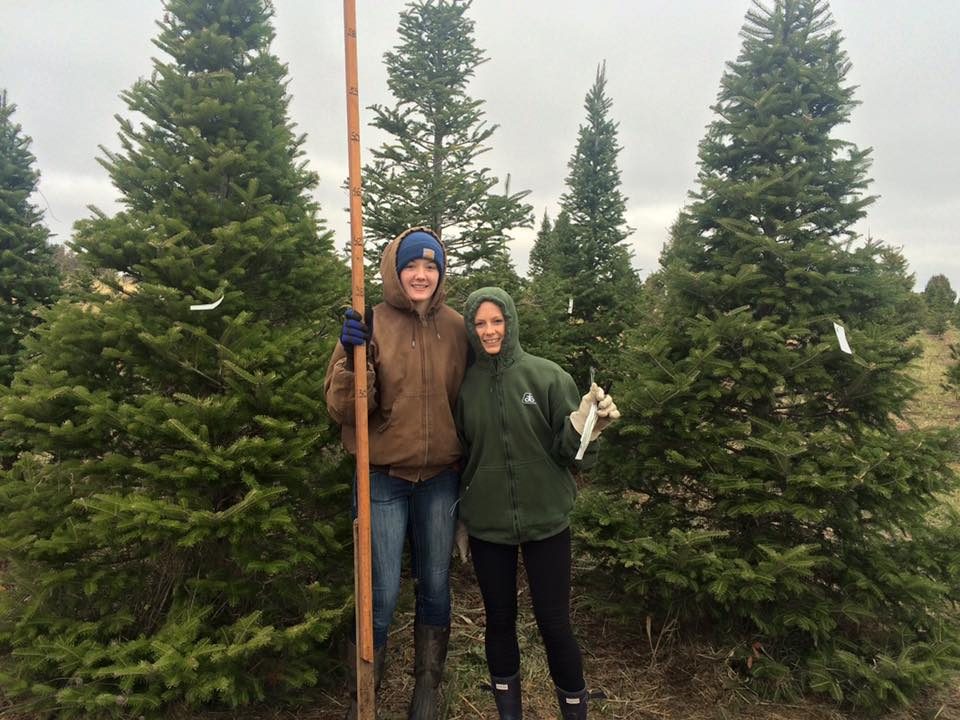 Holiday Trees | Hunter Bros. Tree Farm